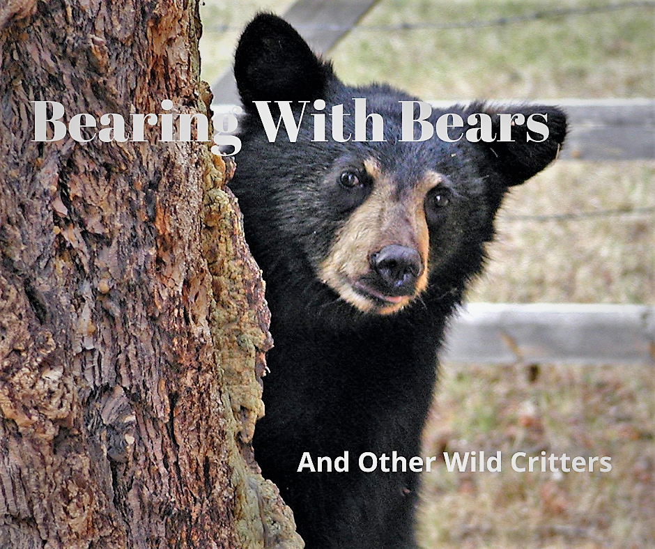 Bearing With Bears and Other Wild Critters - Suzanne Montgomery